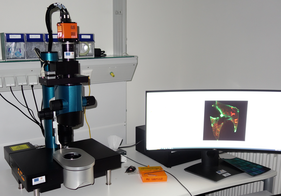 Miltenyi UltraMicroscope II Light Sheet Microscope - Optical Imaging ...