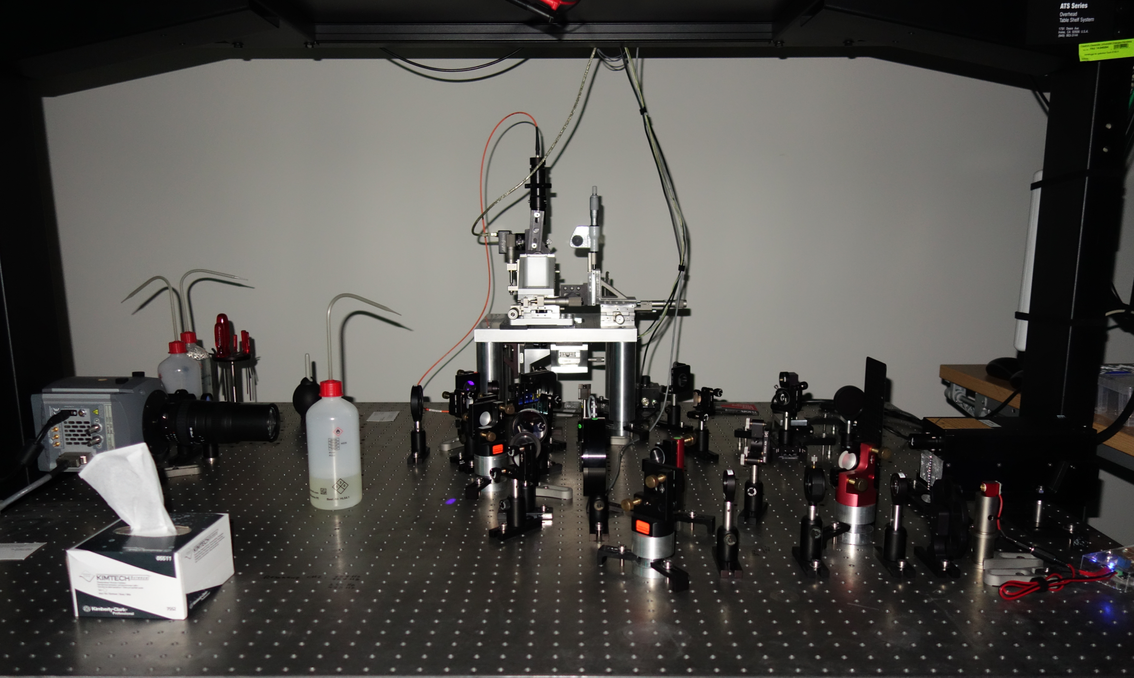 iSCAT single molecule imaging Microscope - Optical Imaging Competence ...